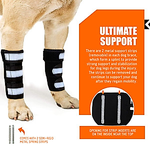 NeoAlly- Front Leg Brace for Dogs & Cats, Dog Leg Brace with Metal Spring Inserts, Dog Leg Sleeve for Carpal Support, Dog Leg Sleeve with Reflective Straps, L/XL, Pair