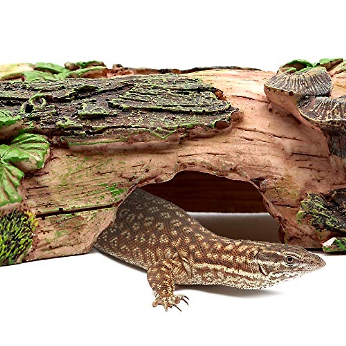 BWOGUE Reptile Habitat Decor Hideouts Log Hideaway Critter Cavern Bark Bends Resin Wood Decorations Hiding Place for Lizards Leopard Gecko Spiders Snakes Fish Shrimp Turtle