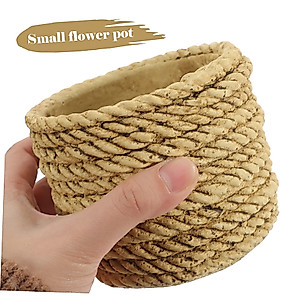 DOITOOL Container Basket Succulents Fake Decorative Plant for Bonsai Cement Woven Small Rustic Simulation Decoration Home Planter Cactus Window Yellow Succulent Pots Rattan Flower Pot