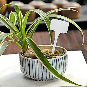 KINGLAKE GARDEN Large Plastic Plant Labels 6 Inch 50 Pack White Durable Extra Large T-Style Plastic Plant Labels for Flower beds,Plant pots