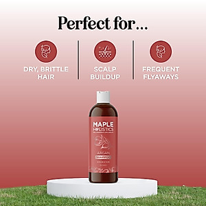 Argan Oil Shampoo for Dry Hair - Sulfate Free Shampoo for Damaged Hair and Frizz with Argan Oil for Hair - Volumizing Shampoo for Hair Shine and Volume Featuring Ultra Moisturizing Natural Oils