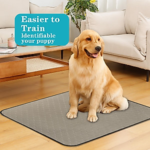 Bunlitent Washable Pee Pads for Dogs 24" x 36", 5 Pack, Reusable Puppy Pee Pads Washable, Dog Training Pads with Quick Dry, Large Anti-Slip Whelping Pad for Pet, Playpen, Incontinence, Housebreaking.