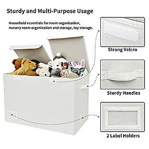 GRANNY SAYS Bundle of 1-Pack Shelf Organizer for Closet & 1-Pack Extra Large Rectangle Storage Bin