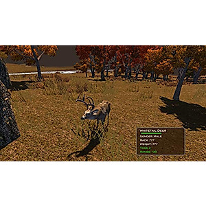 Cabela's: The Hunt Championship Edition - Nintendo Switch