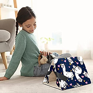 Y-DSIWX Guinea Pig Hideout Cozy Hamster House Cave for Bunny Chinchilla Hedgehog Small Animal Cute Animal Alpaca Love
