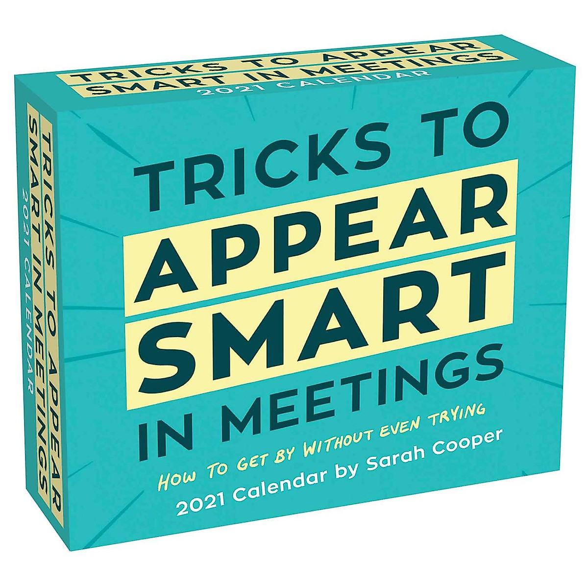 Tricks to Appear Smart in Meetings 2021 Day-to-Day Calendar