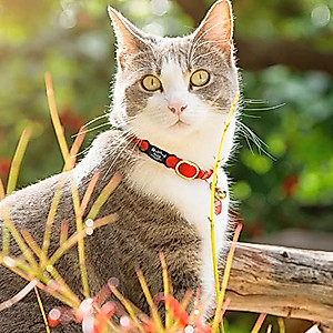 Atdesk Personalized Dog Tags, Slide On Pet ID Tag, Engraved Stainless Steel Cat Collar Tag, No Jingle Dog Name Tag Silent Pet Identification Tags(Large Black)