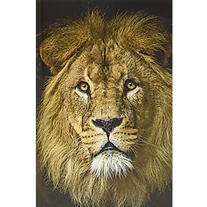 Do It Afraid: Embracing Courage in the Face of Fear