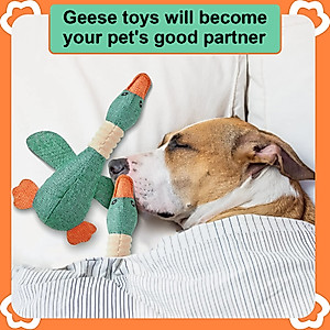 2 Pcs Dog Toys for Moderate Chewers Mallard Duck Dog Toy Stuffed Dog Squeak Toys Squeaky Goose Puppy Dog Training Toys for Small Medium Dogs, 12 x 6 Inches