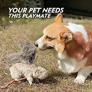 ALL FOR PAWS Squeaky Dog Toys, Animal Plush Dog Toy, Stuffed Dog Toys, Puppy Toys for Teething Small Dogs