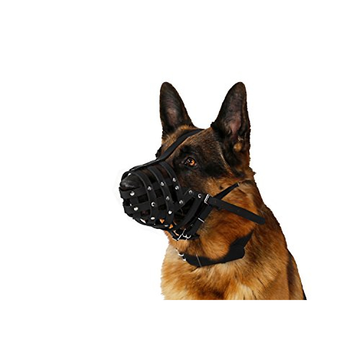 CollarDirect Dog Muzzle German Shepherd Dalmatian Doberman Setter Leather Basket Medium Large Breeds Black Brown (L, Black)