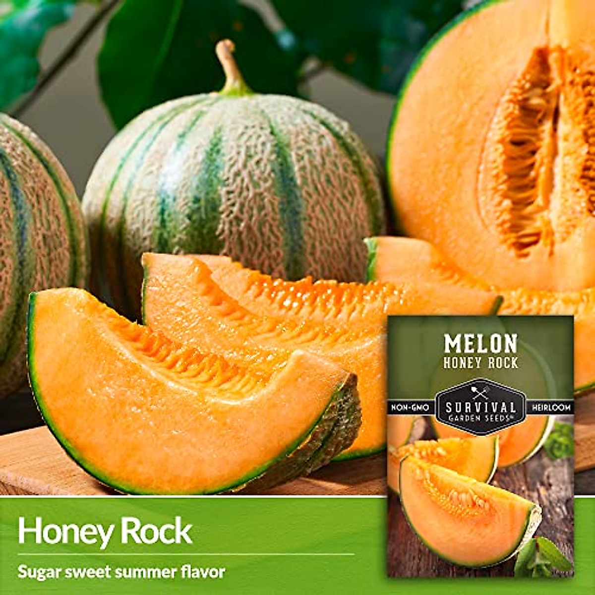 Survival Garden Seeds - Honey Rock Melon Seed for Planting - Packet with Instructions to Plant and Grow Sweet Delicious Cantaloupe Fruit in Your Home Vegetable Garden - Non-GMO Heirloom Variety