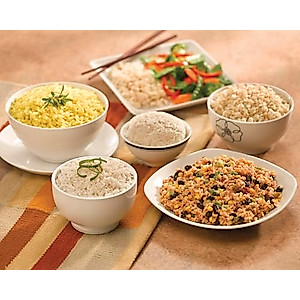 Hamilton Beach Ensemble 20 Cup Capacity Rice Cooker 37538H