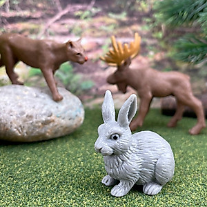 Safari Ltd. Nature TOOB - 12 Mini Figurines with Rabbit, Beaver, Doe, Gray Wolf, Fox, Black Bear, Moose, Mountain Lion, Bald Eagle, and More - Educational Toy for Boys, Girls & Kids Ages 3+