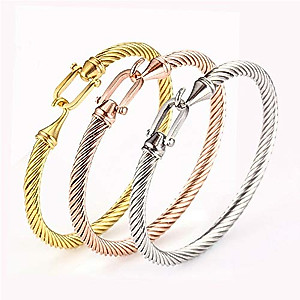 COLORFUL BLING Unisex Stainless Steel Cable Wire Bracelets Charm Bangle Bracelet Best Friend Sister Fashion Jewelry Gift for Women Men - dia 2.44inch gold