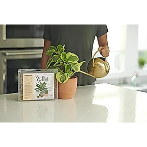 Osmocote PotShots: Premeasured House Plant Food, Feed for up to 6 Months, 25 Nuggets