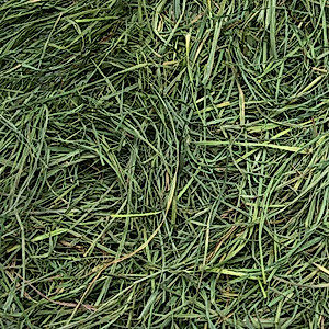 Rabbit Hole Hay Ultra Premium, Hand Packed Soft Orchard Grass for Your Small Pet Rabbit, Chinchilla, or Guinea Pig (12oz)