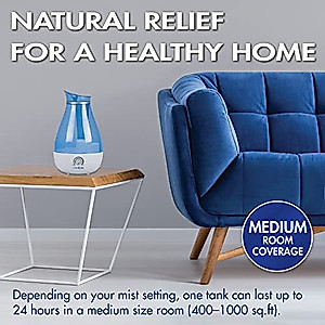 HealthWise Cool Mist Ultrasonic Humidifier | For Medium Size Rooms | No Filter Required | 24 Hour Run Time, Blue, 2.6L