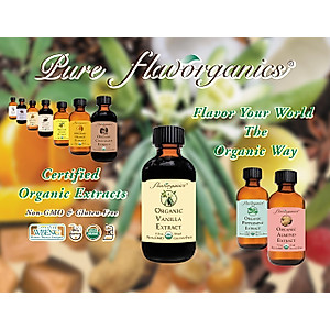 Flavorganics Organic Vanilla Extract, 2 Ounce Bottle