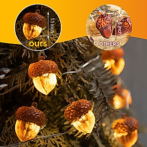 3D Acorn Fall Decorations String Lights, Full Size Acorn Christmas Theme 10 feet 30 LEDs 8 Twinkle Modes with Remote for Autumn Harvest Kitchen Baby Shower Thanksgiving Party Home Garden Wreath