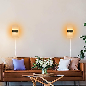 SKIVTGLAMP Frosted Acrylic Wall Sconce Plug-in Cord, No Drilling Wall Mounted Warm LED Lamp Rectangle Farmhouse Wall Hanging Lamp for Home Decor Gallery Customizable 2 Lights