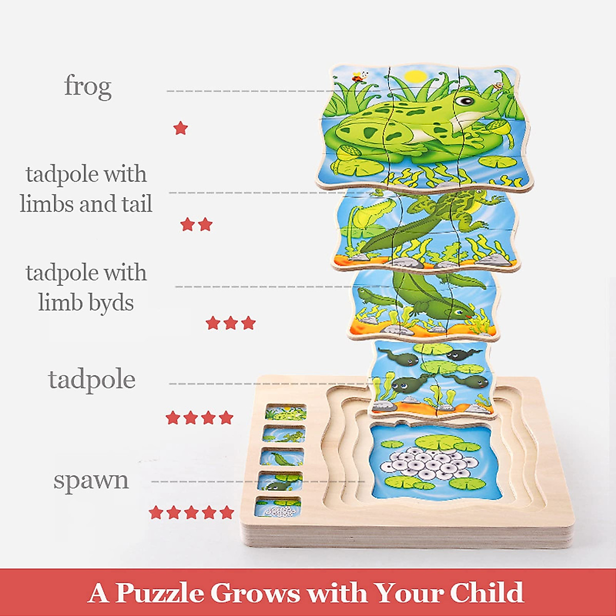 Wooden Puzzles for Kids Age 4-8, 5 Layers Life Cycle of a Frog Montessori Jigsaw Puzzle for Kids, Children Preschool Learning Educational Puzzles Toys for Boys and Girls