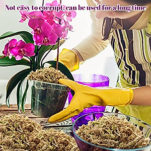 Legigo 5.3oz Premium Sphagnum Moss Potting Mix- Natural Succulent Carnivorous Plants Moss Dried, Plant Growing Medium for Orchid Succulent Sarracenia Orchid Gardening Plants Reptiles, 3 QT