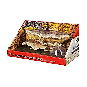 Zilla Vertical Décor Mushroom Feeding Ledge One Size,Brown