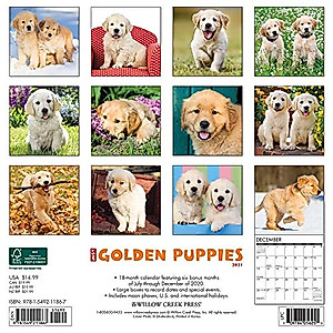 Just Golden Puppies 2021 Wall Calendar (Dog Breed Calendar)