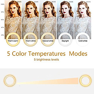 Video Conference Lighting Kit 3200k-6500K Dimmable Led Ring Lights Clip on Laptop Monitor for Remote Working/Zoom Calls/Self Broadcasting/Live Streaming/YouTube Video/TikTok (Black)