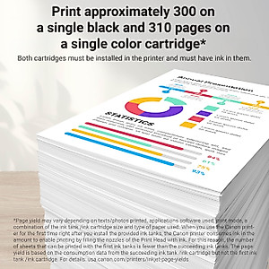 Canon PGI-250/ CLI-251 5 Color Amazon Pack