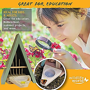 Wildlife World Butterfly House and Feeder - Natural Habitat to Attract Butterflies to Your Garden (Blue)