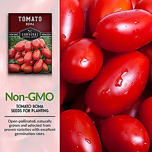 Survival Garden Seeds - Roma Tomato Seed for Planting - Packet with Instructions to Plant and Grow Italian Roma Tomatoes in Your Home Vegetable Garden - Canning Favorite - Non-GMO Heirloom Variety