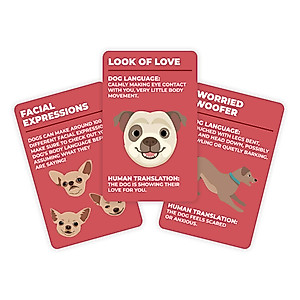 Gift Republic How To Speak Dog 100 Cards Fun Gift for Dog Lovers Learn What Your Puppy is Saying Dog Behaviour Guidance Cards Doggie Language