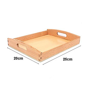 DANNI Gudong Montessori Kids Practical Life Simulated Tooth Toy Brushing Tooth Teaching Aids Real Wood Brush with Tray Preschool Toys for Children (Tooth Set)