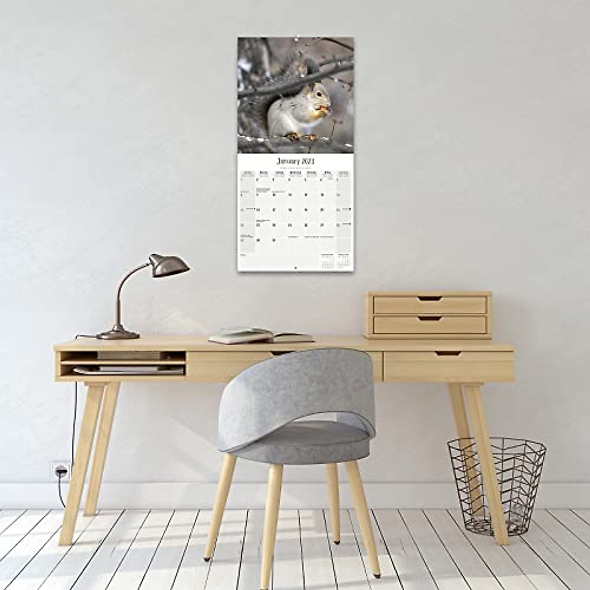 Squirrel Calendar - Cute Animal Calendar - Calendars 2022 - 2023 Wall Calendars - Animal Calendar - Squirrels 16 Month Wall Calendar by Avonside