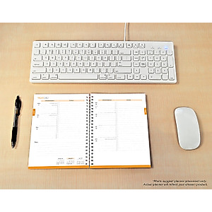 Tuscan Treasure 2022 6 x 7.75 Inch Weekly Desk Planner with Foil Stamped Cover by Plato, Planning Stationery