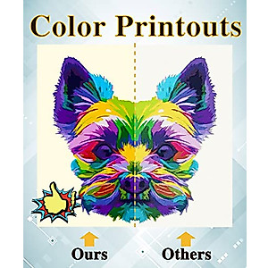 MM MUCH&MORE Ink Cartridge Replacement for Brother LC109 XXL LC-109 LC109XXL LC105 XXL LC105 to use for MFC-J6520DW MFC-J6720DW MFC-J6920DW Printer (4 Black + 2 Cyan + 2 Magenta + 2 Yellow) 10-Pack