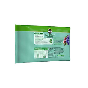 Miracle-Gro Tree & Shrub Plant Food Spikes, 12 Spikes/Pack, 12 count (Pack of 1)