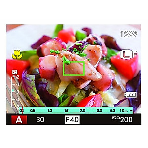 FUJIFILM FinePix X100 APS-C CMOS EXR Digital Camera with 23mm Fujinon Lens and 2.8-Inch LCD - International Version (No Warranty)