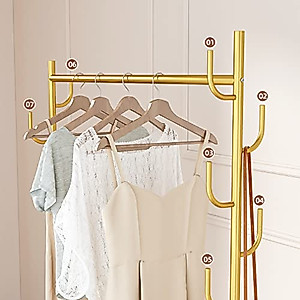 Thick forest Gold Clothing Rack Gold Clothes Rack Gold Garment Rack Heavy Duty Shoes Bags Gold Clothes Organizer Storage Shelves