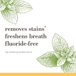 Burt's Bees Toothpaste, Natural Flavor, Fluoride Free Purely White, Zen Peppermint, 4.7oz 3 Count