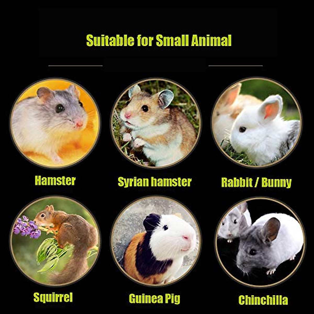 Hamster Chew Toy Lava Teeth Grinding Square Stone For Hamsters Chinchillas and Rabbits Mineral Stone Calcium Chew Toy for Small Animal(Pack of 10)