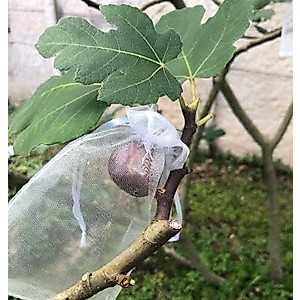 AB Max Organza Drawstring Bags - Wedding Favor Gift Bags Goody Bags Jewelry Pouches 5x7 Inches Fruit Protection Mesh Bags White 10 Pieces