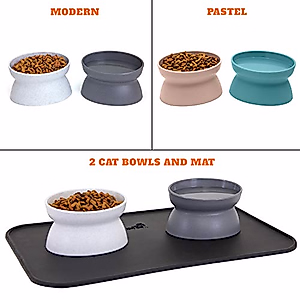 Kitty City Raised Cat Food Bowl Collection_Stress Free Pet Feeder and Waterer