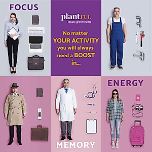 Nootropic Brain Supplement For Focus, Energy, Memory & Clarity Booster | Fast Absorption Brain Vitamins For Adults – Nootropics Pills With Ginkgo Biloba, St Johns Wort, Bacopa Monnieri