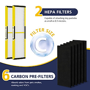 2 Pack FLT5000 True HEPA Replacement Filt-er C with 6 Pack Activated Carbon for G-Guardian AC5000 AC5000E AC5250PT AC5300B AC5350B AC5350BCA AC5350W CDAP5500