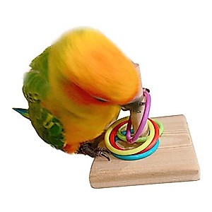 YANQIN Parrot Trick Training Toys, Bird Tabletop Toys, Training Stacking Color Ring Toys Sets for Small and Medium Birds Parrots Budgie Cockatiel Parakeet (with 6 Rings)