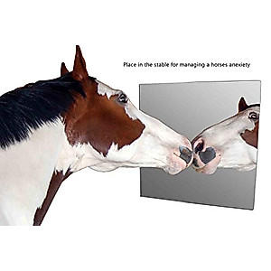 Grey Tinted Clear Acrylic Plexiglas (Smoked) Sheet 24" X 24" X 1/8"