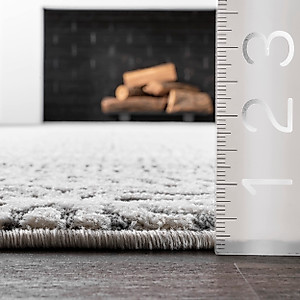 nuLOOM Exie Transitional Moroccan Area Rug, 10x14, Light Grey